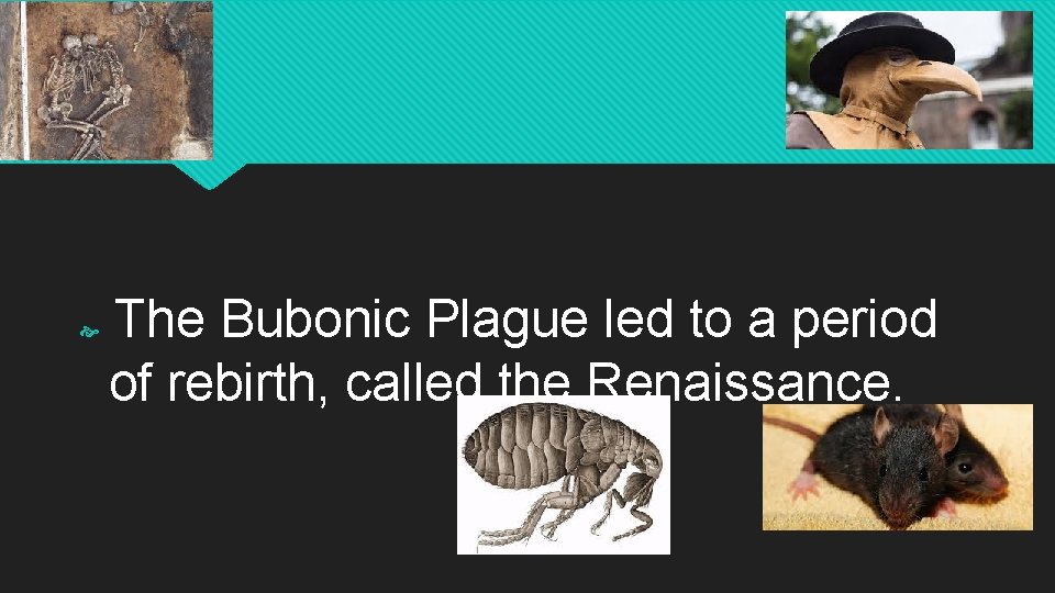 Renaissance and the Reformation The Bubonic Plague led