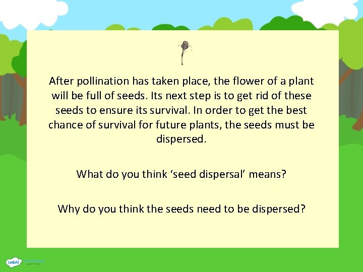 Seed Dispersal A task setting Powerpoint Pack about