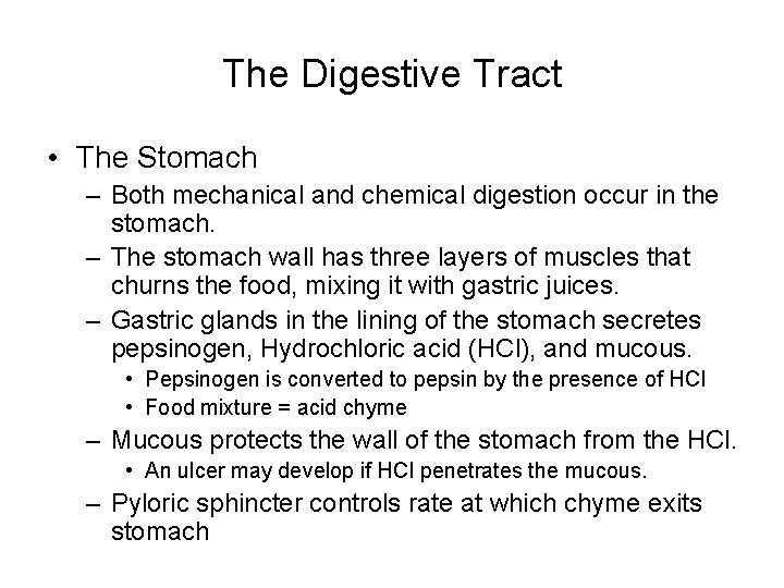 BIOLOGY 12 POWERPOINT NOTES THE DIGESTIVE SYSTEM MR