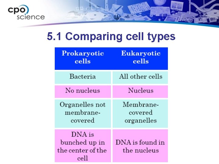 Cell Biology Chapter Four Chemistry and Physics Connections