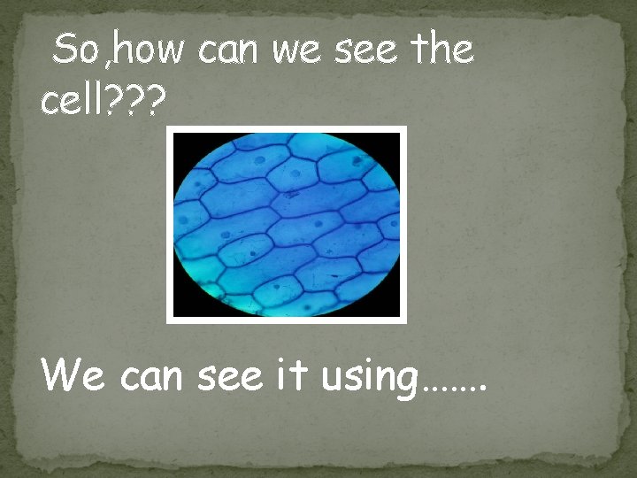 CELLS AS THE BASIC UNIT OF LIFE What