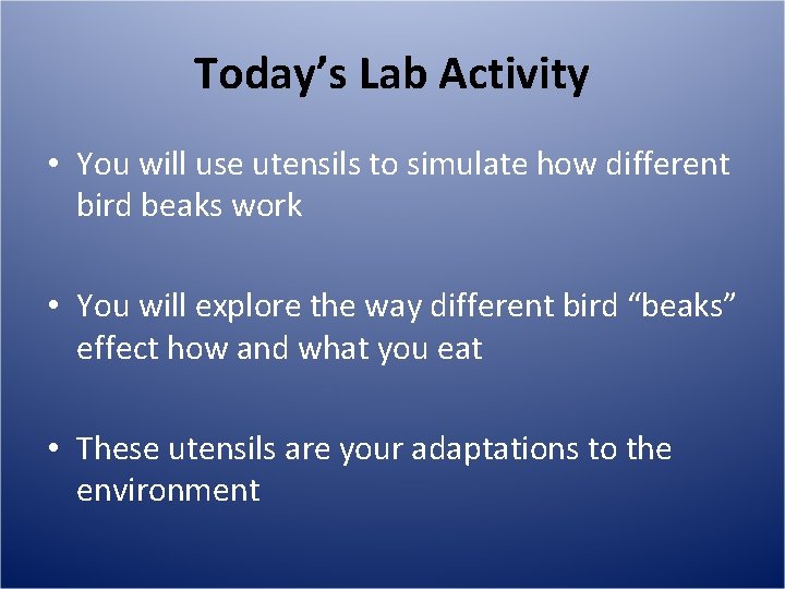 Natural Selection 1515 Catalyst Pick 2 interesting birds