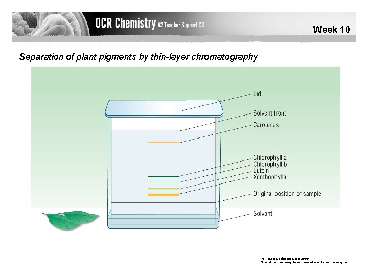 Week 10 Describe chromatography as an analytical technique