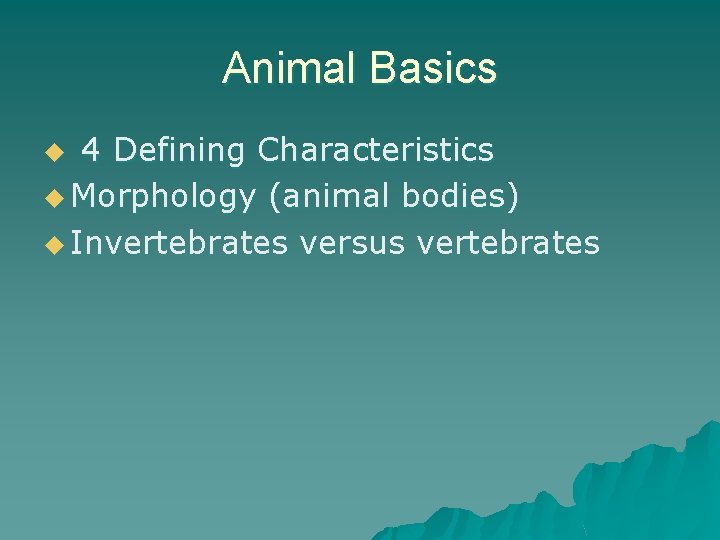 INTRODUCTION TO ANIMALS Chapters 26 33 Animal Basics
