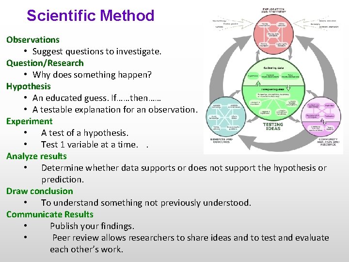 Nature of Science Page 97 Scientific Method Observations