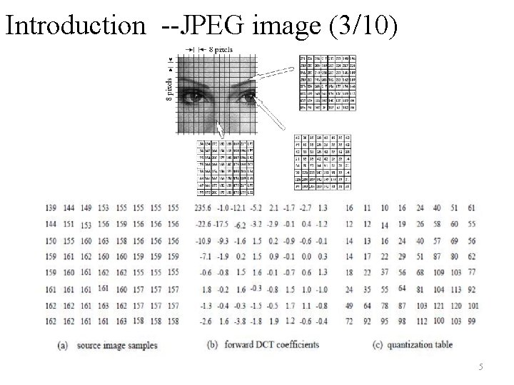High Capacity Lossless Data Hiding in JPEG Bitstream