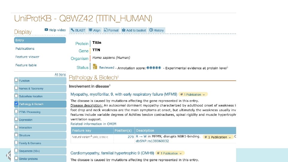 Lab 6 Analysis of multiple variants KARCHIN LAB