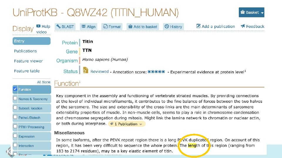 Lab 6 Analysis of multiple variants KARCHIN LAB