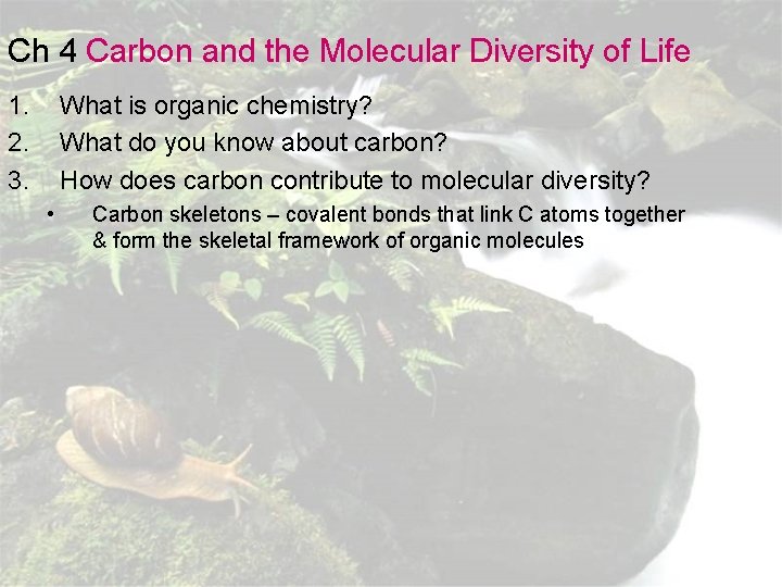 Chapter 4 Carbon and the Molecular Diversity of