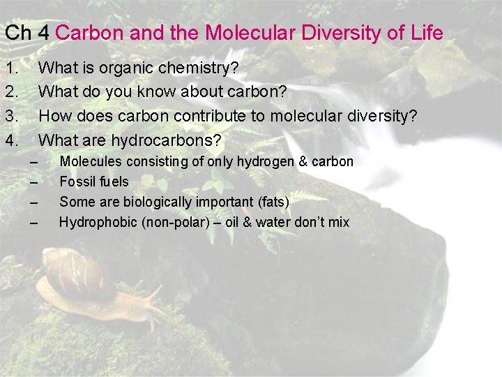 Chapter 4 Carbon and the Molecular Diversity of