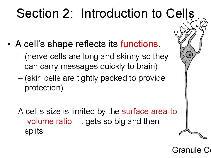 BIOLOGY Chapter 4 Cell Structure and Function The