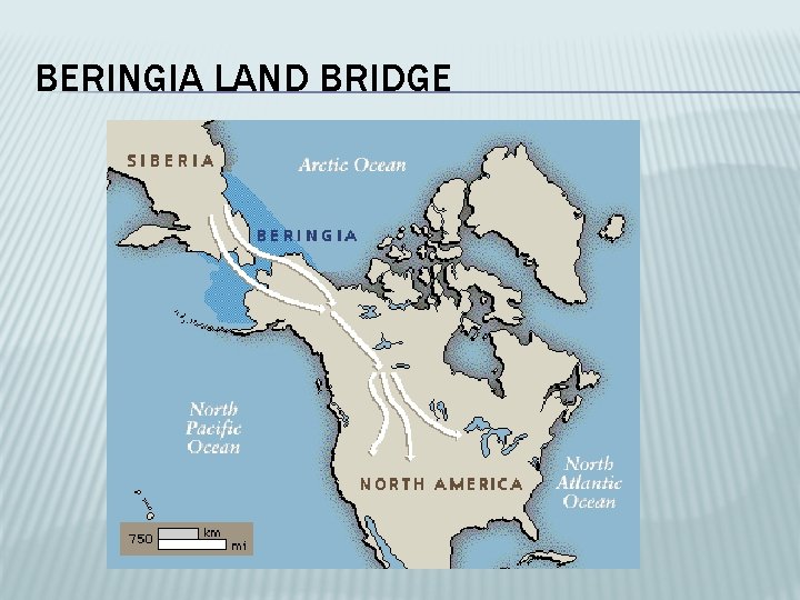 American History Warm Up BEFORE YOU START LEARNING