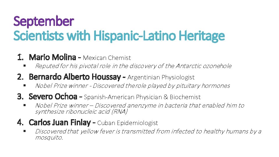 Mad About Science Reports Mrs Biederbeck 6 th