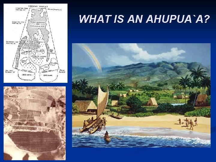 Developing a Community Based Shellfish Industry for Hawaii