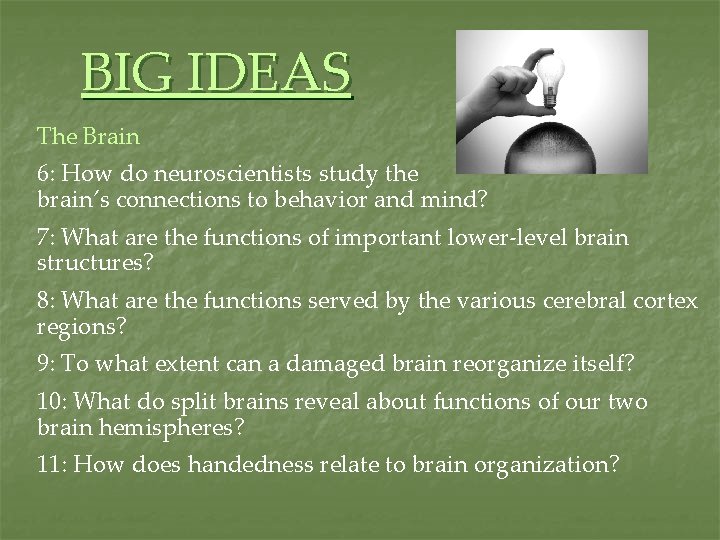 The Biological Bases of Behavior Chapter 2 AP