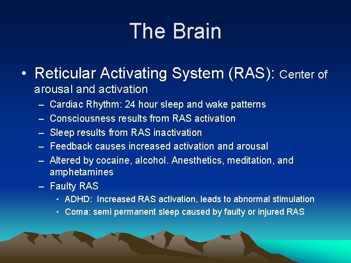 The Brain Poudre High School By Ben Kirk