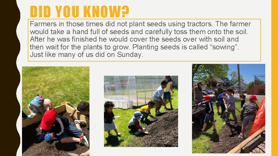 JCREW LESSON THE PARABLE OF A SOWER SEEDS