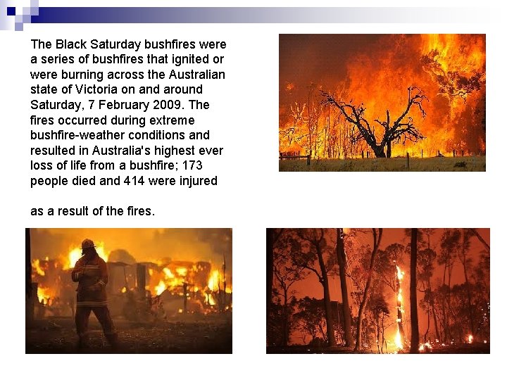 Black Saturday bushfires The Black Saturday bushfires were