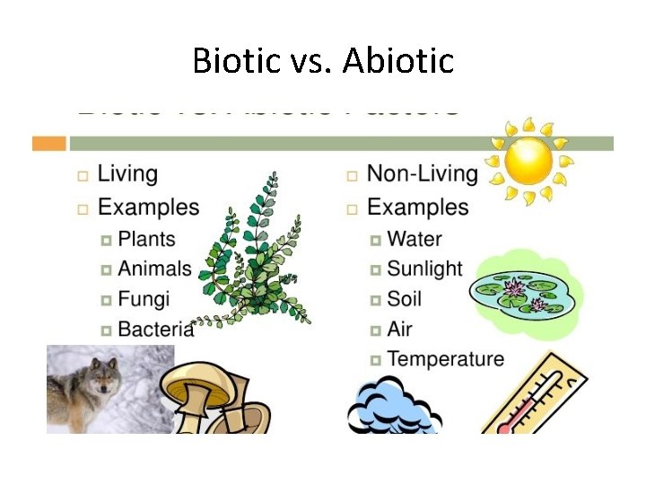 Levels of Organization How do organisms obtain energy