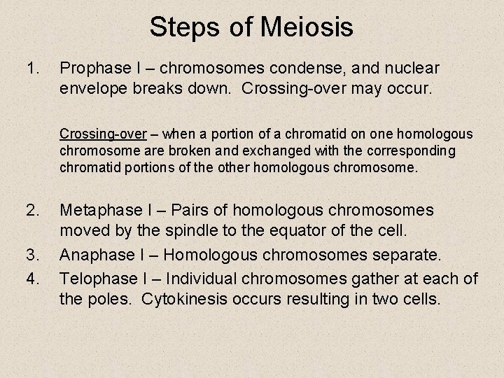 Meiosis and Mendel Biology Chapter 6 Dr Altstiel