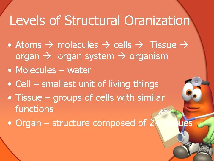 Chapter 1 Human Body Orientation What is Anatomy