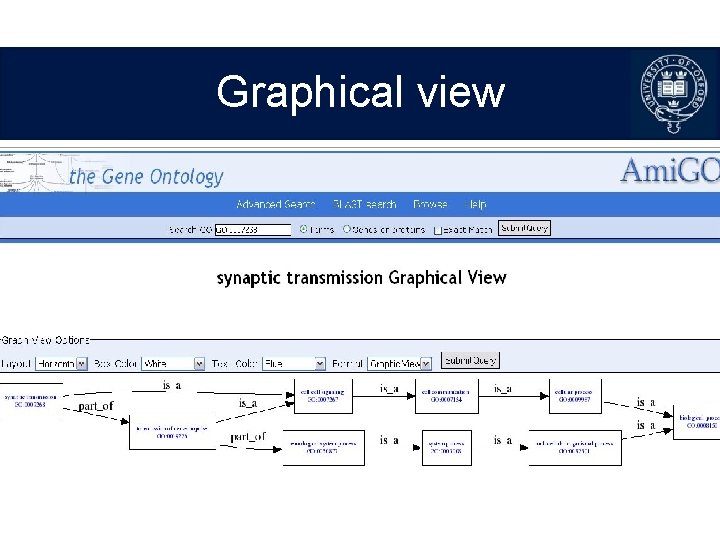 Biological Interpretation of Microarray Data Helen Lockstone DTC