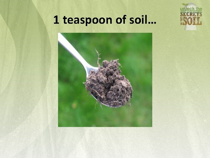 The case for Healthy Productive Soils Paige Buck