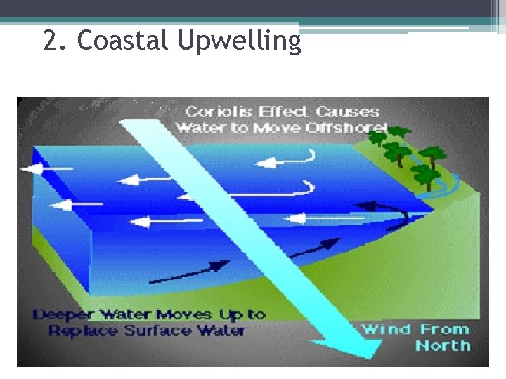 Oceans The great abyss What is an ocean