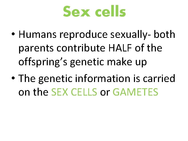 Lesson Starter What are the signs of puberty