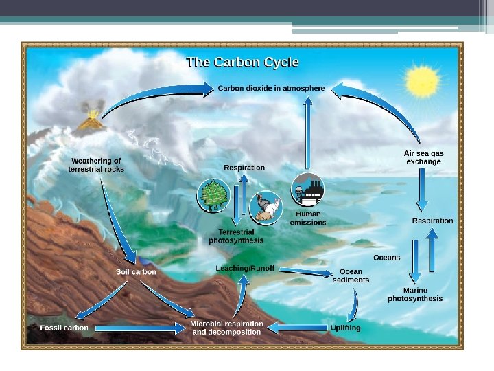 Cycles of Matter Recycling in the Biosphere Matter