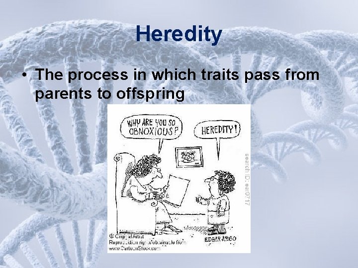 Genetics and Heredity Learned Behavior Inherited Trait Look