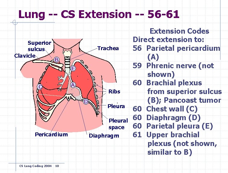The Anatomy of Collaborative Staging Lung Presentation developed