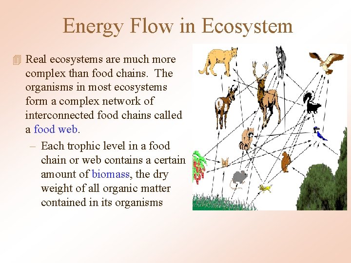 Ecology Ecosystems and Food Webs Chapter 4 Partial