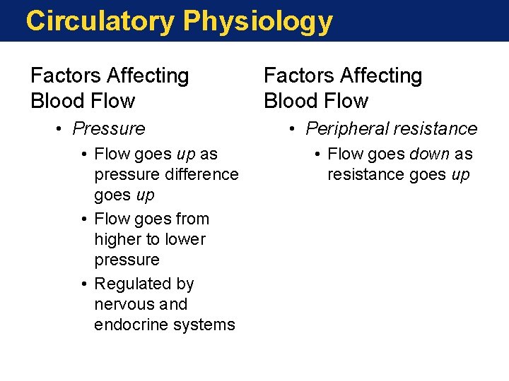 13 The Cardiovascular System Blood Vessels and Circulation