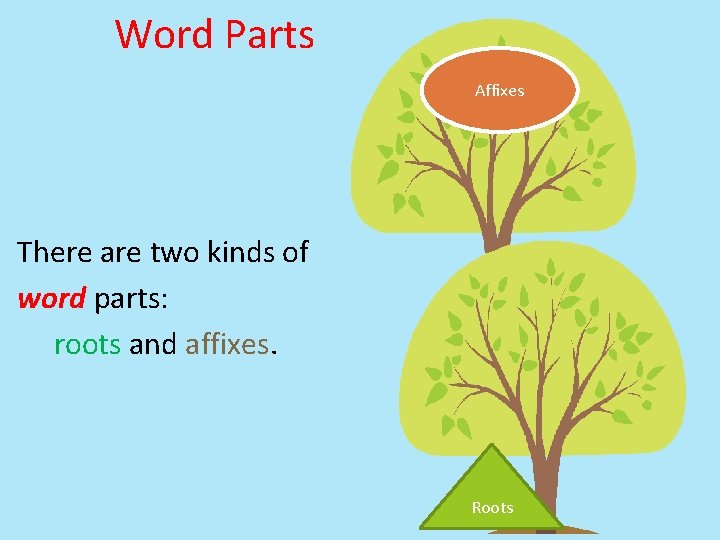 Roots and Affixes By Monica Cortes Word Parts