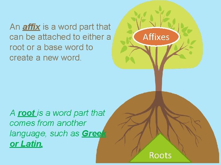Roots and Affixes By Monica Cortes Word Parts