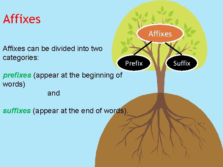 Roots and Affixes By Monica Cortes Word Parts