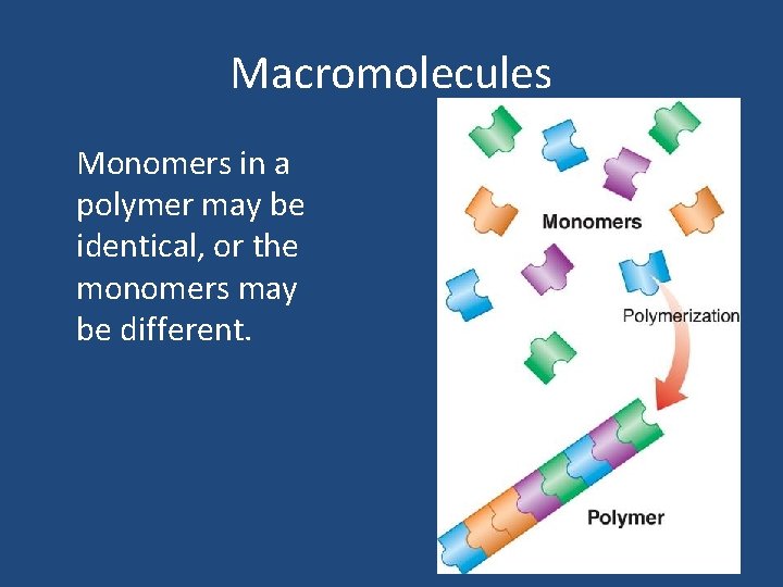 Carbon Compounds Chapter 2 Section 3 The Chemistry