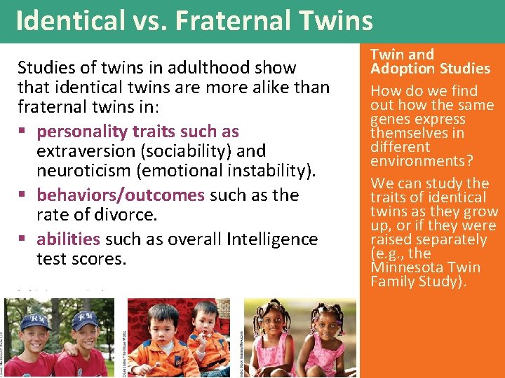 The Biology of Behavior Power Point Presentation by