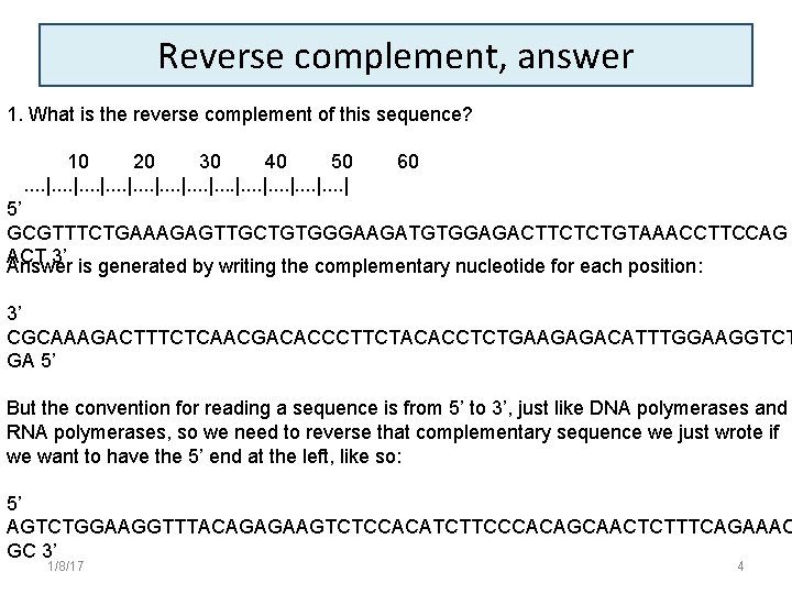 DNA Strand Polarity Transcriptional Orientation Numbering Conventions Hardison
