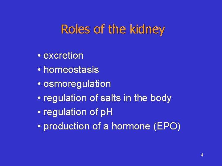 Kidney structure and function Biological principles in action