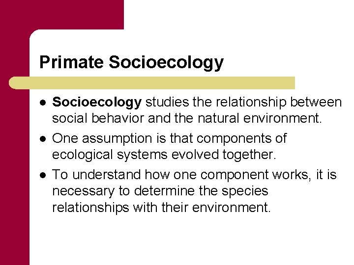 Chapter 6 Primate Behavior Chapter Outline l l
