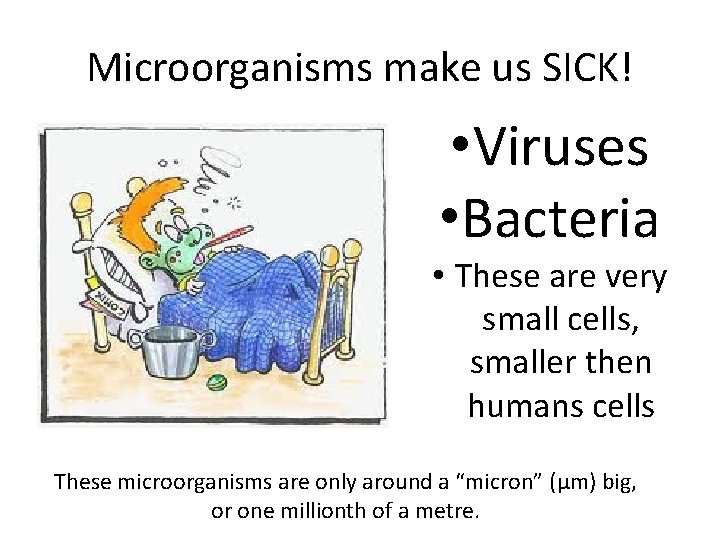 Microbiology Big Ideas 1 Groups of microorganisms have