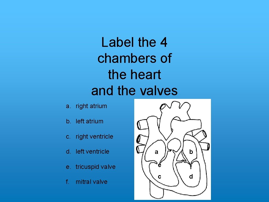 Natural Science Unit 2 Review Body Systems What