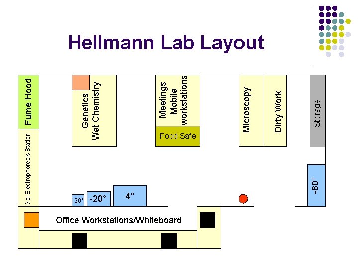 Hellmann Lab Safety and Operational Guidelines Chris BrownJason