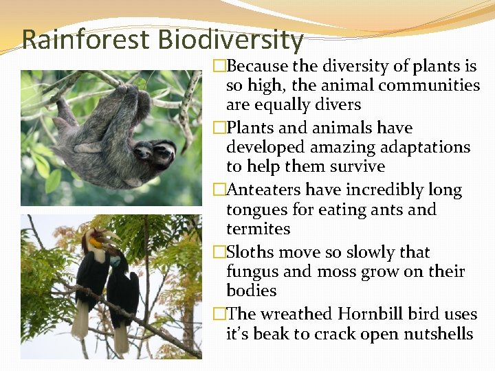 Biomes Chapter 6 1 6 2 What is