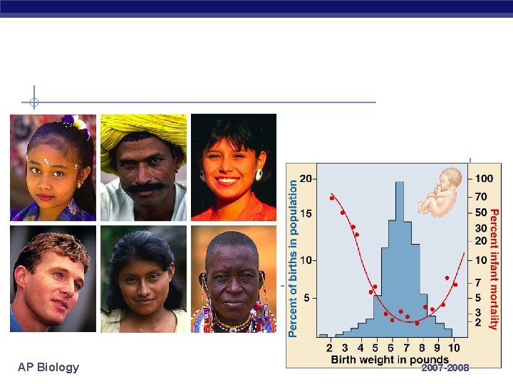 Evolution of Populations AP Biology 2007 2008 Doonesbury