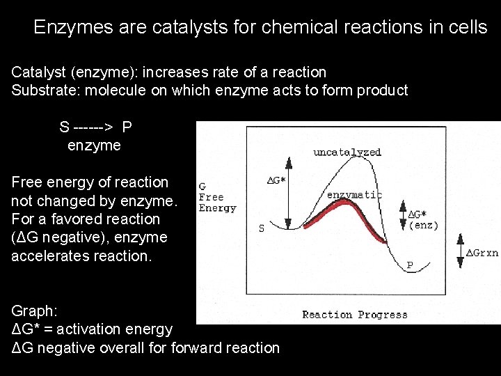 Molecular Cell Biology Kinetics Enzymology Cooper Kinetic analysis