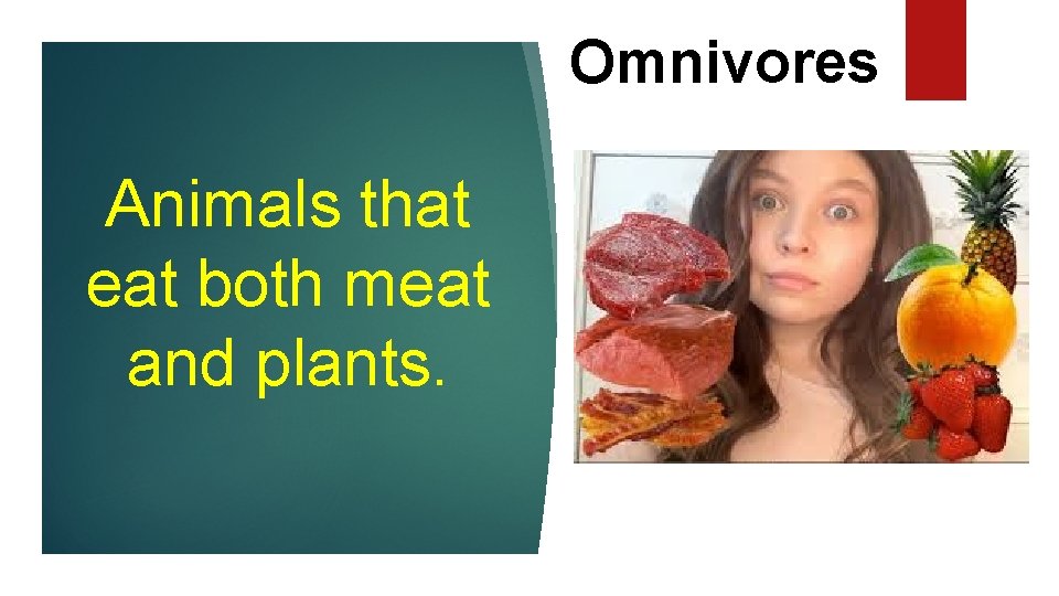 Food Chains and Food Webs Organisms that make