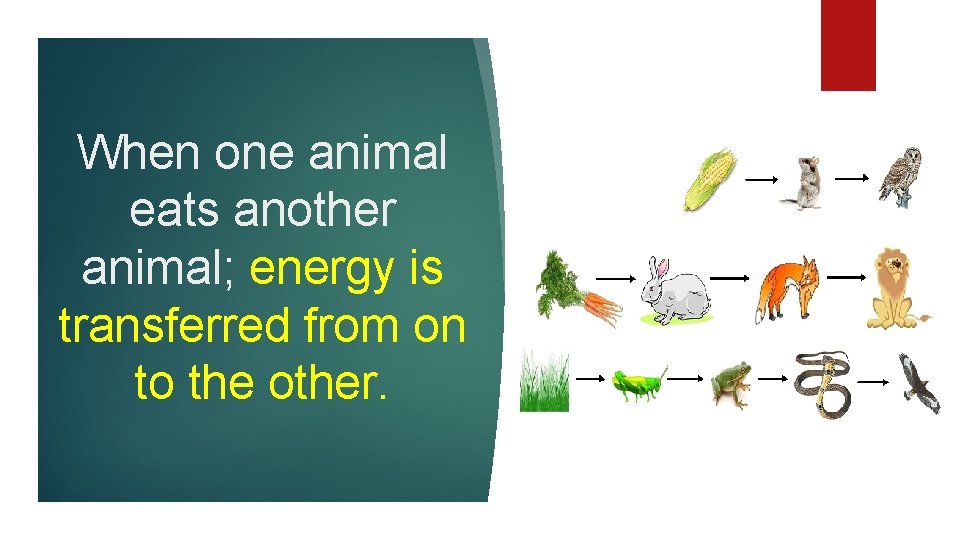 Food Chains and Food Webs Organisms that make